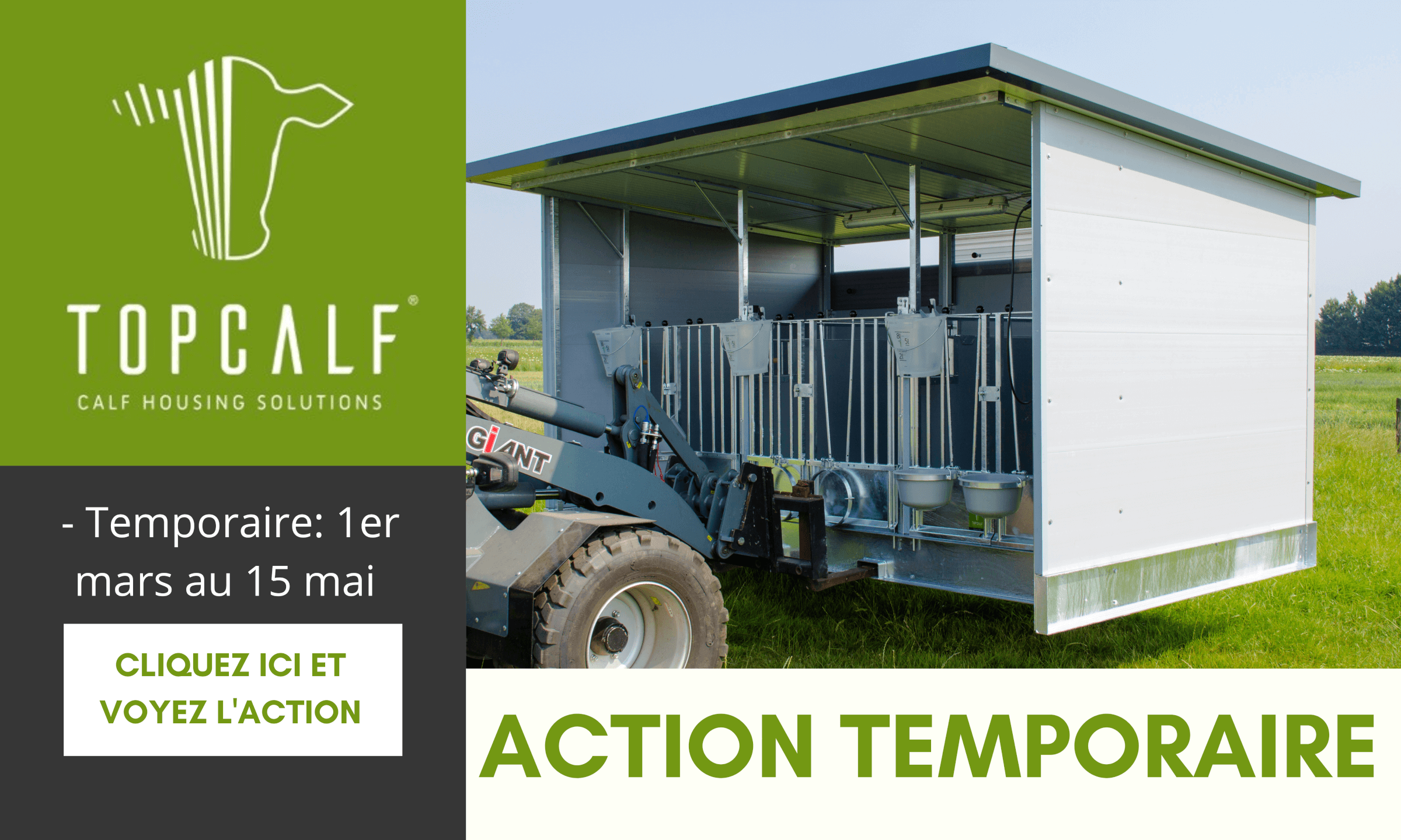ACTION TEMPORAIRE - Topcalf